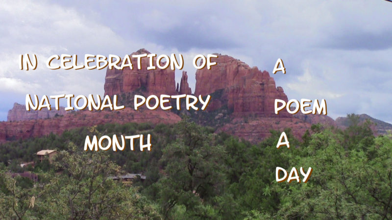 A Poem A Day: Video Series by Johnnie Gale | Artistic Nomads